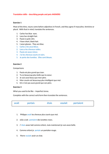GCSE French translation skills worksheet bundle | Teaching Resources