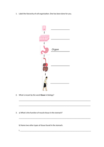 Cell Organisation Slides and Worksheet (GCSE Biology AQA) | Teaching ...