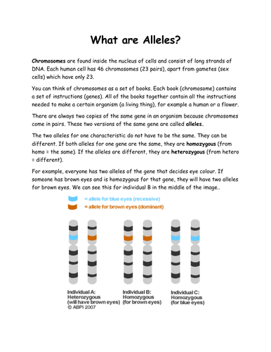 Reading exercise - What are Alleles? | Teaching Resources