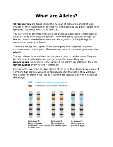 Reading exercise - What are Alleles? | Teaching Resources