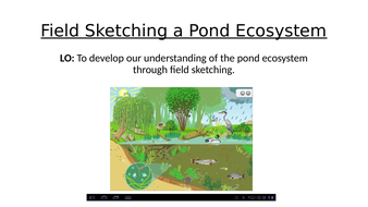 Free Pond Ecosystem lesson | Teaching Resources