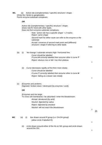 Enzyme Basics (Structure and Function) - AS Unit: Biological Molecules ... Enzyme Basics (Structure and Function) - AS Unit: Biological Molecules ...