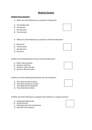 Musculo-skeletal Questions for GCSE PE | Teaching Resources