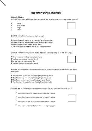 Respiratory System Questions for GCSE PE | Teaching Resources