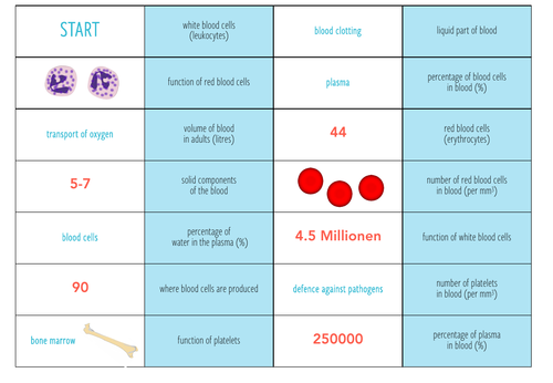 Composition of the Blood - Loop Game (KS3/4) | Teaching Resources