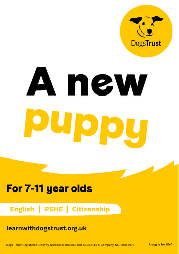 A New Puppy | Teaching Resources