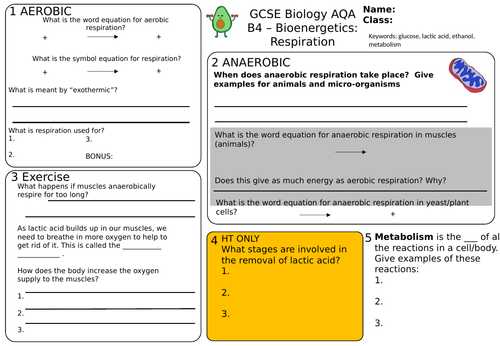 Respiration AQA GCSE Worksheet - Biology Revision/Remote Learning ...