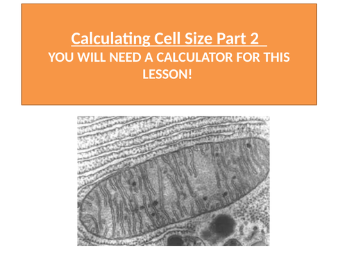 Calculating Cell Size and Magnification | Teaching Resources