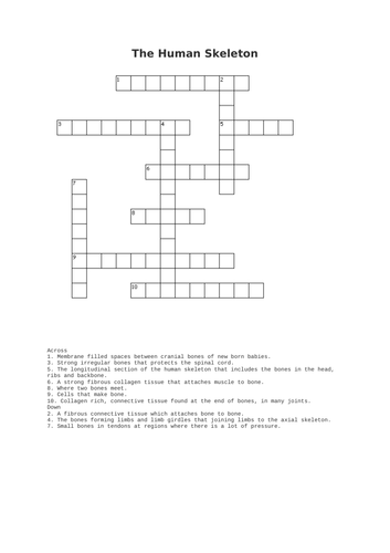 The Human Skeleton Crossword | Teaching Resources