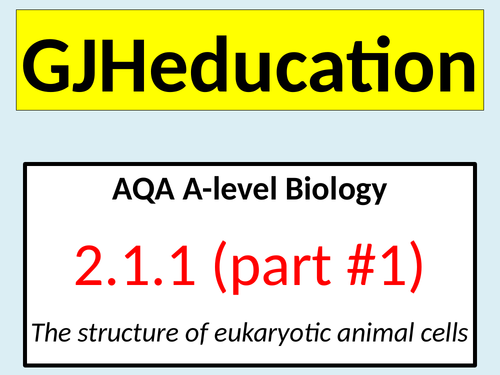 Structure of eukaryotic (animal) cells (AQA A-level Biology) | Teaching ...