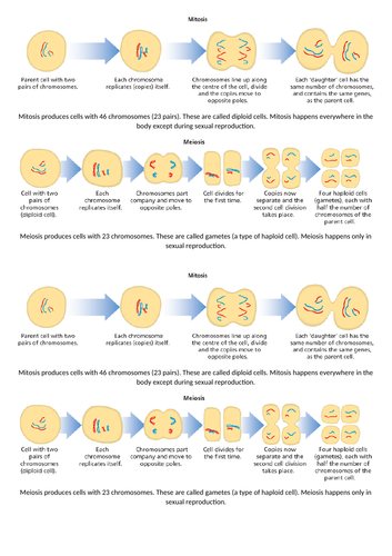AQA B13 (OUP) Reproduction FULL UNIT | Teaching Resources