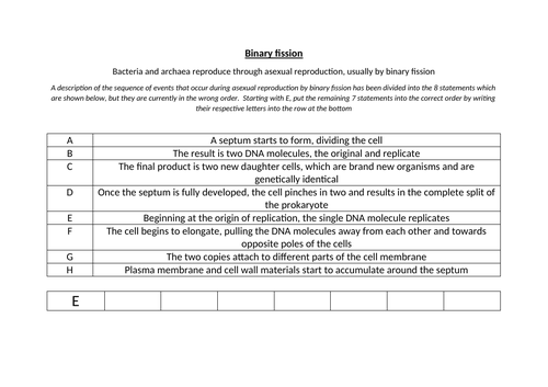 Structure of prokaryotic cells (AQA A-level Biology) | Teaching Resources