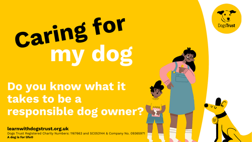 Caring For My Dog | Teaching Resources