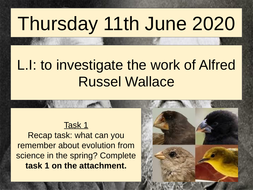 Year 6 Science Classification Living Things and Their Habitats ...