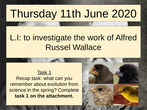 Year 6 Science Classification Living Things and Their Habitats ...