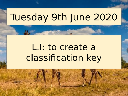 Year 6 Science Classification Living Things and Their Habitats ...