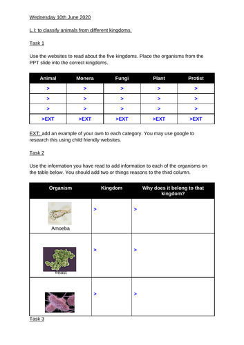 Year 6 Science Classification Living Things and Their Habitats ...