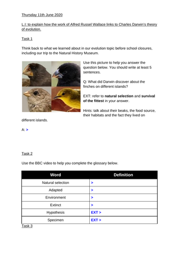 Year 6 Science Classification Living Things and Their Habitats ...