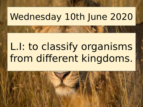 Year 6 Science Classification Living Things and Their Habitats ...