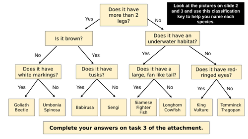 Year 6 Science Classification Living Things and Their Habitats ...