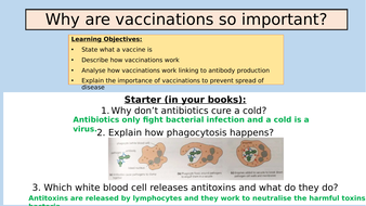 Vaccinations GCSE Full Lesson | Teaching Resources