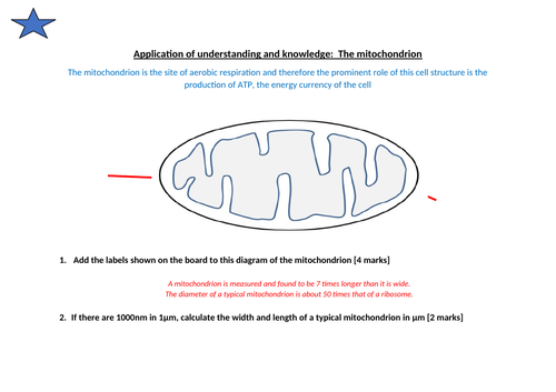 Eukaryotic cell structures & functions (CIE International A-level ...