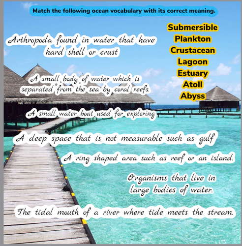 World Oceans Day Worksheets. | Teaching Resources