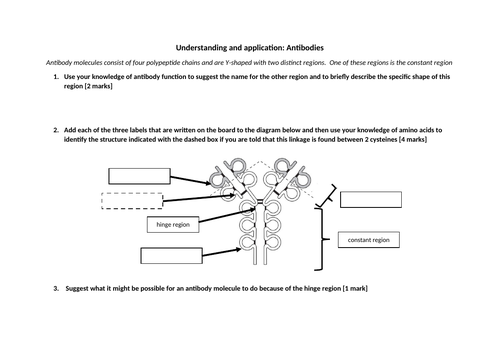 Antibodies & memory cells (CIE A-level Biology) | Teaching Resources