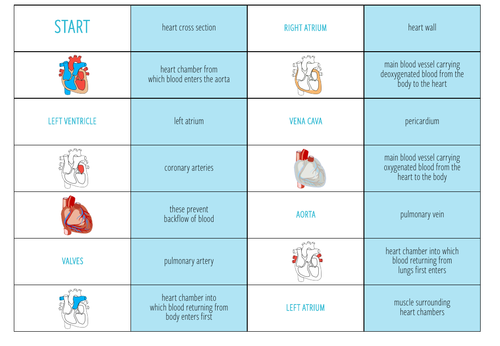 The Heart - Loop Game (KS4/5) | Teaching Resources