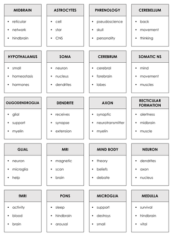 VCE Psychology Brain Mental Process and Behaviour Taboo Words (Unit 1 ...