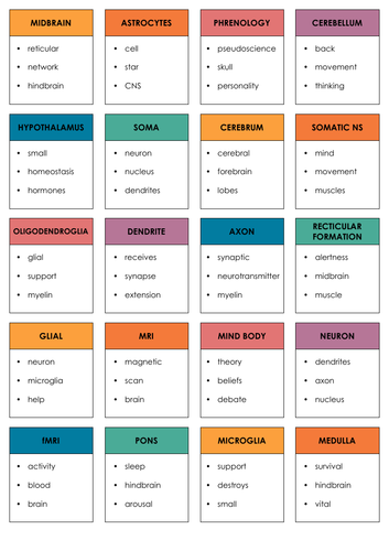 VCE Psychology Brain Mental Process and Behaviour Taboo Words (Unit 1 ...