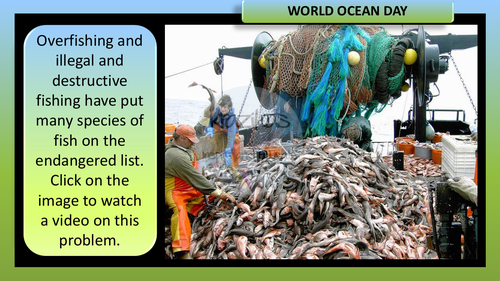 World Oceans Day | Teaching Resources