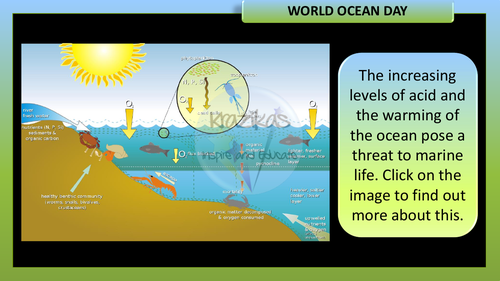 World Oceans Day | Teaching Resources