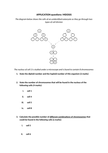 Meiosis & variation (Edexcel A-level Biology B) | Teaching Resources