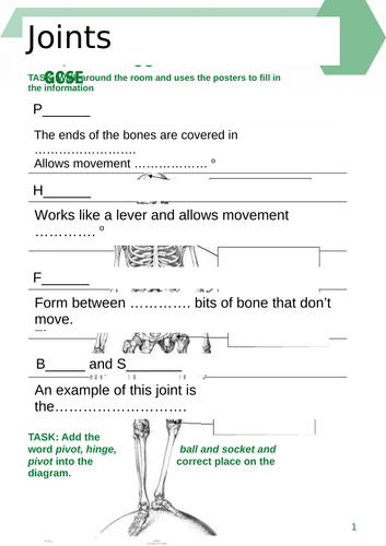 Joints | Teaching Resources