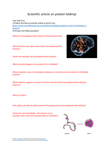Protein Scientific article and questions activity (Biomolecules) - A ...