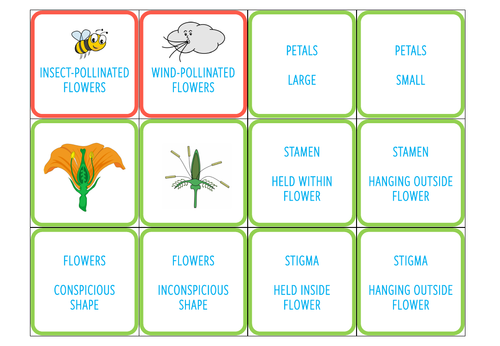 Insect- and wind-pollinated flowers - Card Sort (KS3) | Teaching Resources