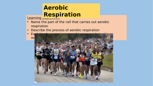 Aerobic Respiration GCSE Full Lesson | Teaching Resources