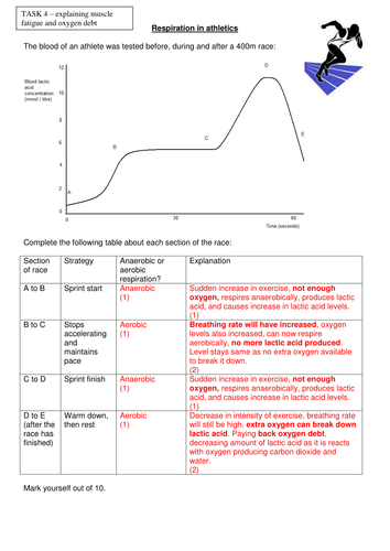 Anaerobic Respiration GCSE Full Lesson | Teaching Resources