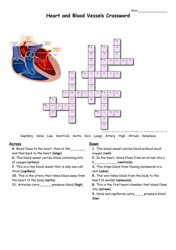 Heart and Blood Vessels - KS3 Low Ability | Teaching Resources