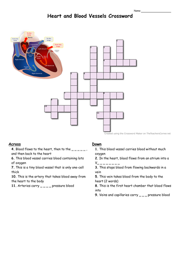 Heart and Blood Vessels - KS3 Low Ability | Teaching Resources