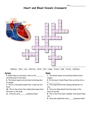 Heart and Blood Vessels - KS3 Low Ability | Teaching Resources