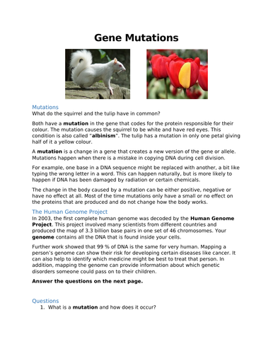 Reading exercise - Mutations | Teaching Resources