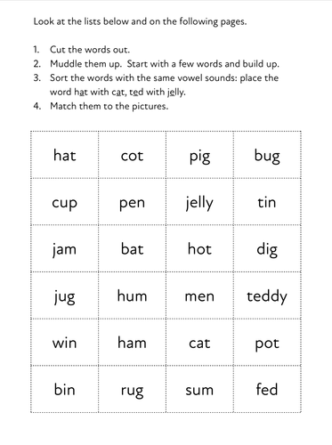 Revise Initial Sounds & Three Letter Words with activity cards (3 ...