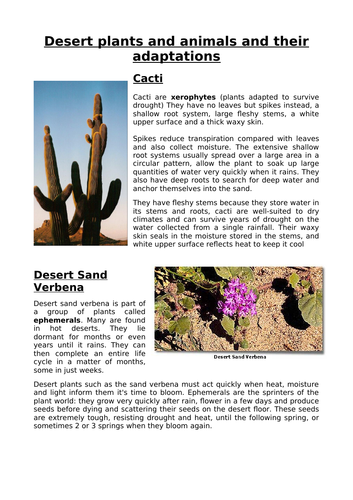 The Sahara Desert, Hostile environments, Investigating Africa's ...