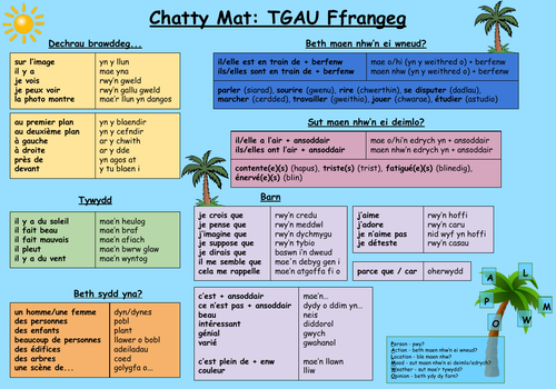Chatty Mat - Ffrangeg/Cymraeg - French/Welsh | Teaching Resources