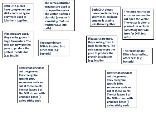 Genetic Modification- Edexcel | Teaching Resources