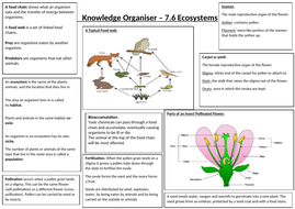 Year 7 Science Knowledge Organisers | Teaching Resources
