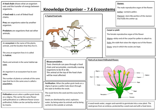 Year 7 Science Knowledge Organisers | Teaching Resources
