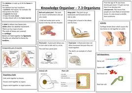 Year 7 Science Knowledge Organisers | Teaching Resources